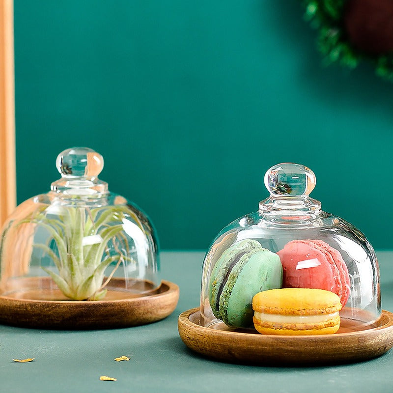 Mini Glass Dome with Base, Wooden Cake Plate with Dome for Plants ...